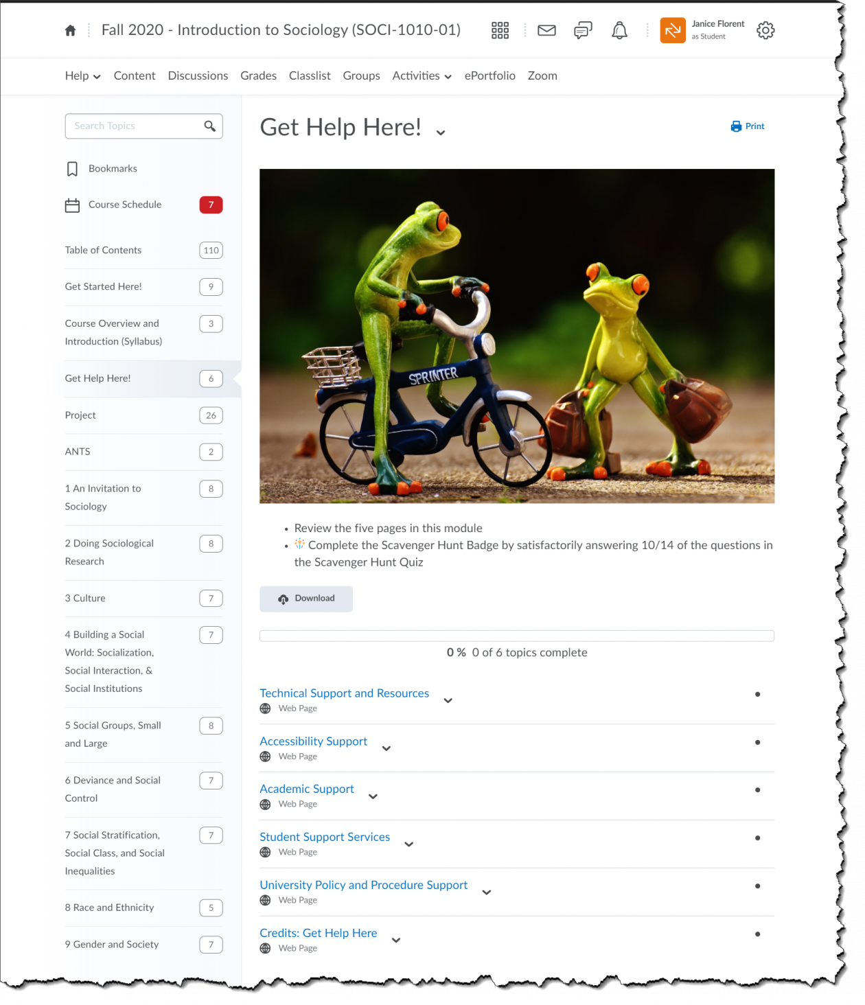 Brightspace Learner Support Examples - CAT Base