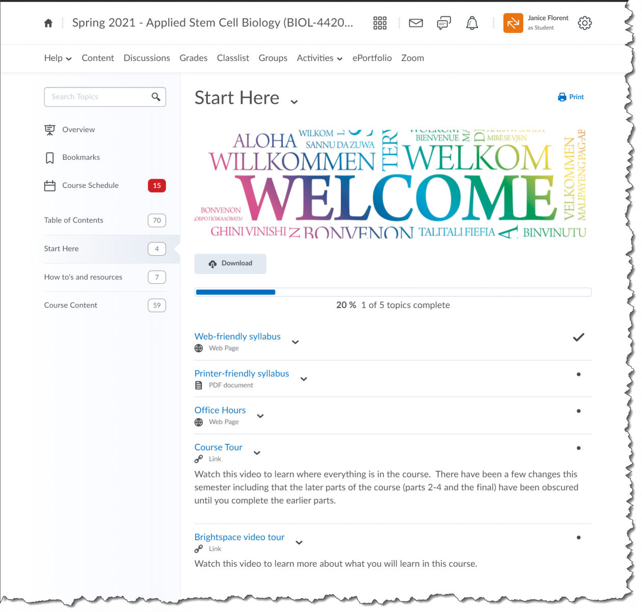Brightspace Course Overview and Introduction Examples - CAT Base